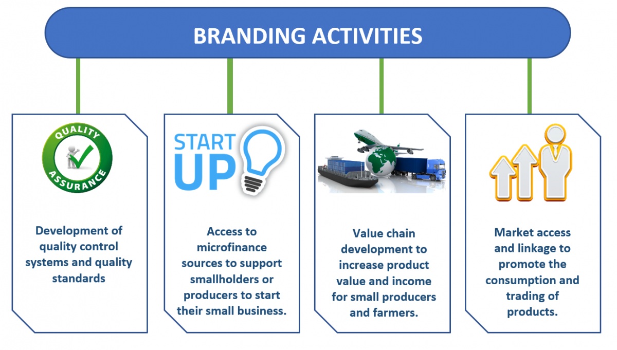 MACDI's Branding Case Study - MACDI